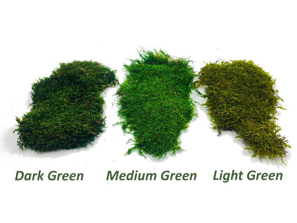 Flat Moss | Fire Rated Preserved Flat Moss Bulk Box 1m2 preservedmoss.co.uk